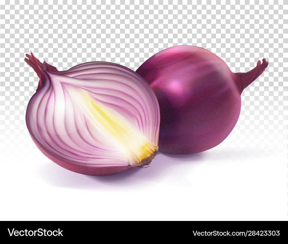 Red onion sliced and whole realistic Royalty Free Vector