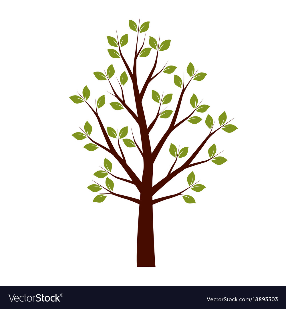 Spring tree Royalty Free Vector Image - VectorStock