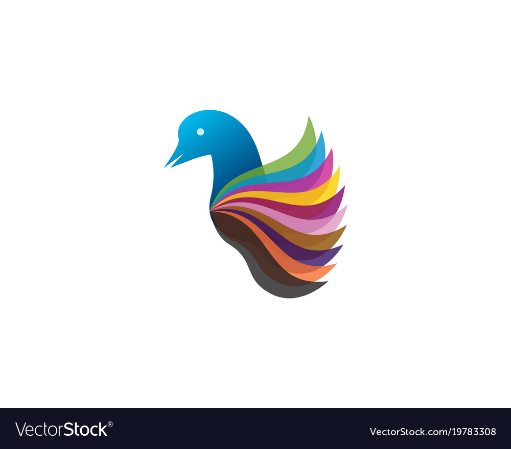Bird logo Royalty Free Vector Image - VectorStock