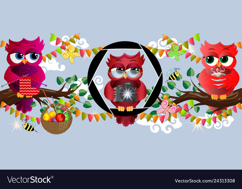 Colorful banner sticker with three bright owls Vector Image