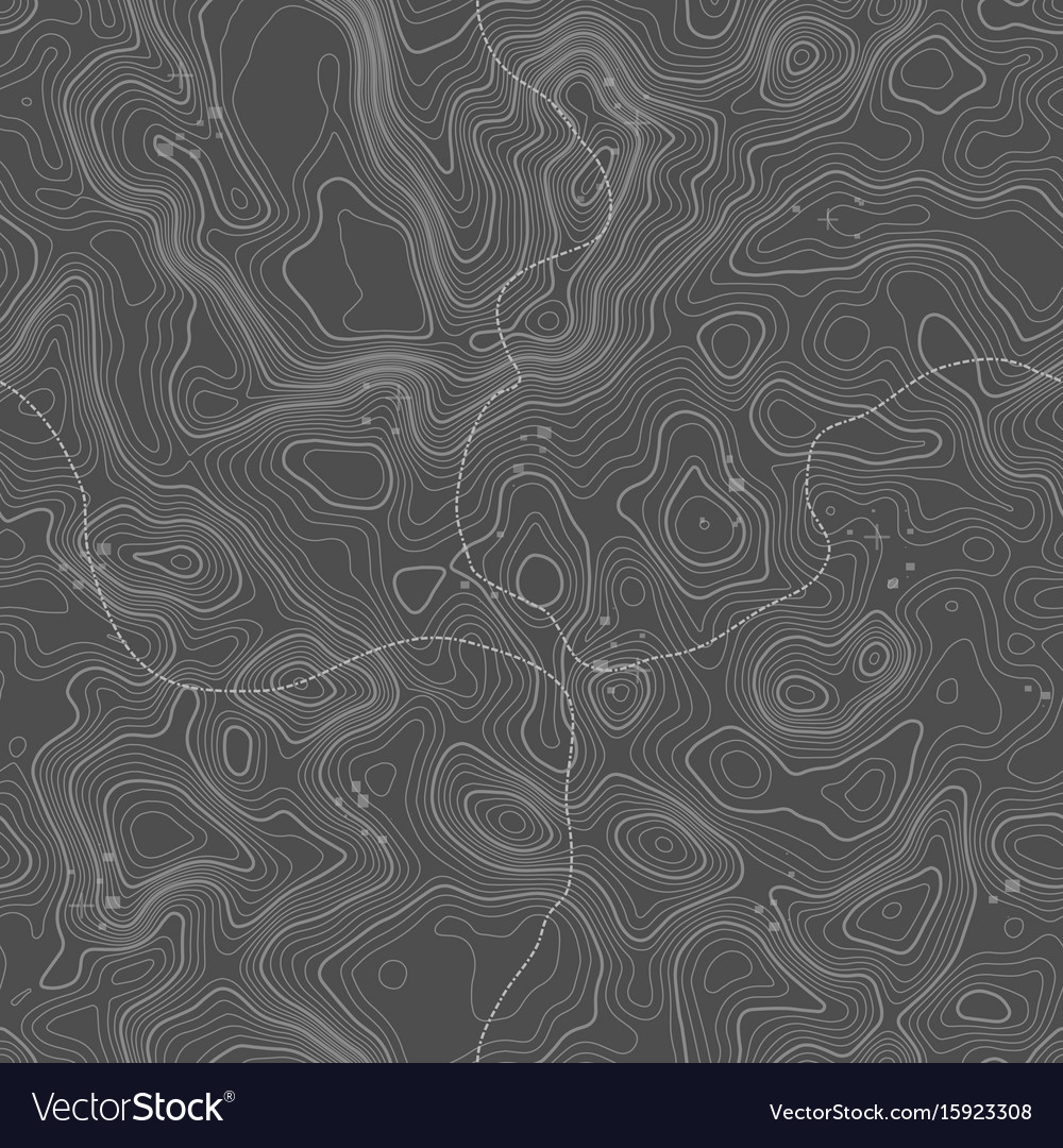Seamless pattern topographic map background Vector Image
