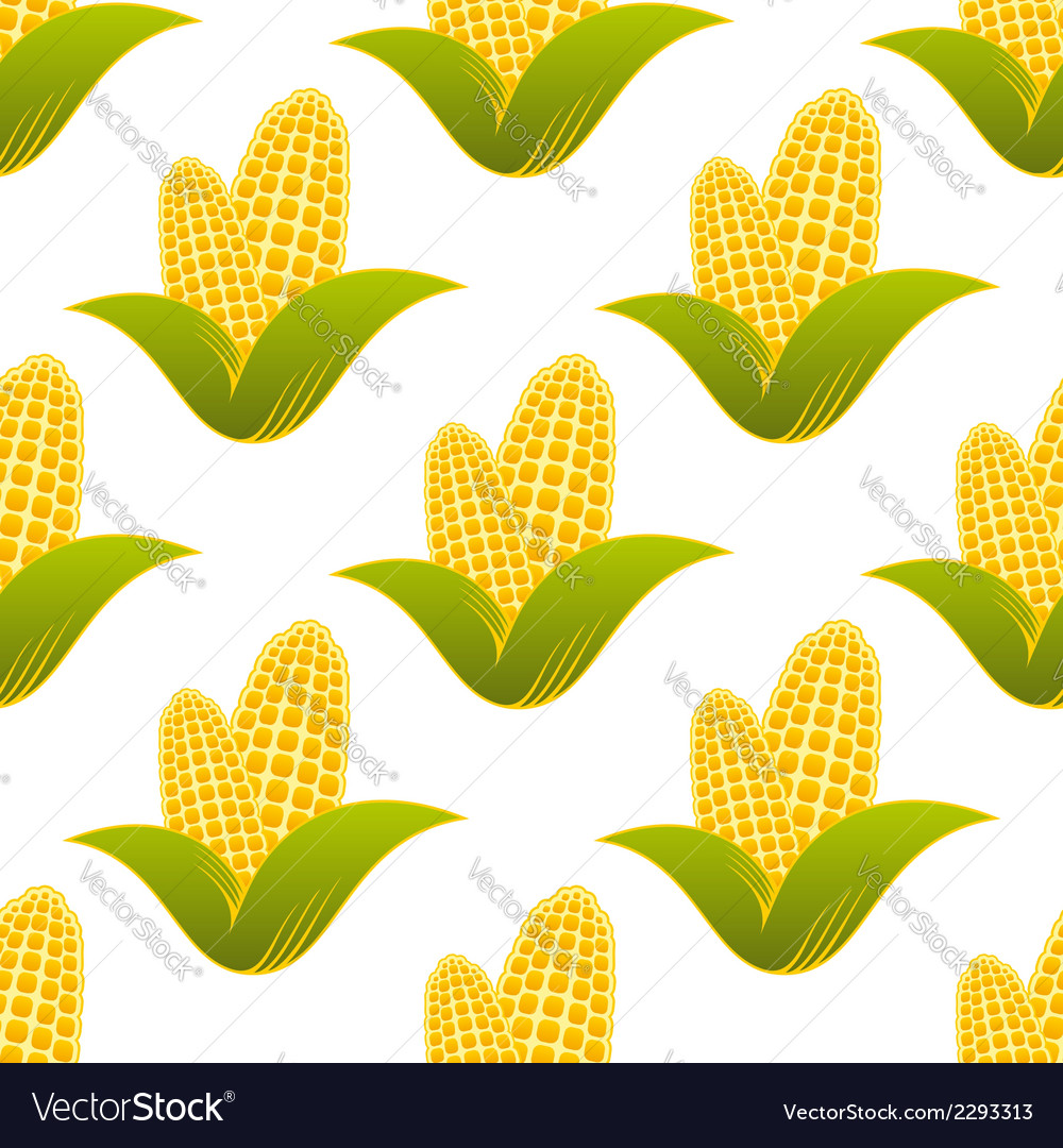 Seamless pattern fresh corns Royalty Free Vector Image