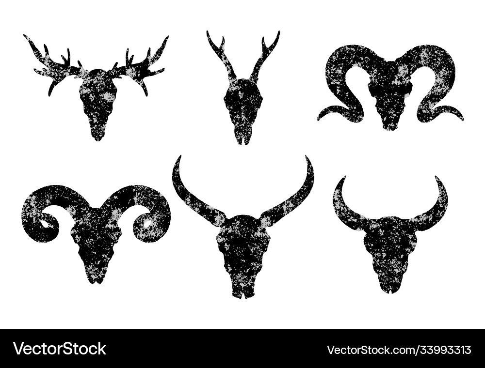 Set six hand drawn skulls horned animals Vector Image