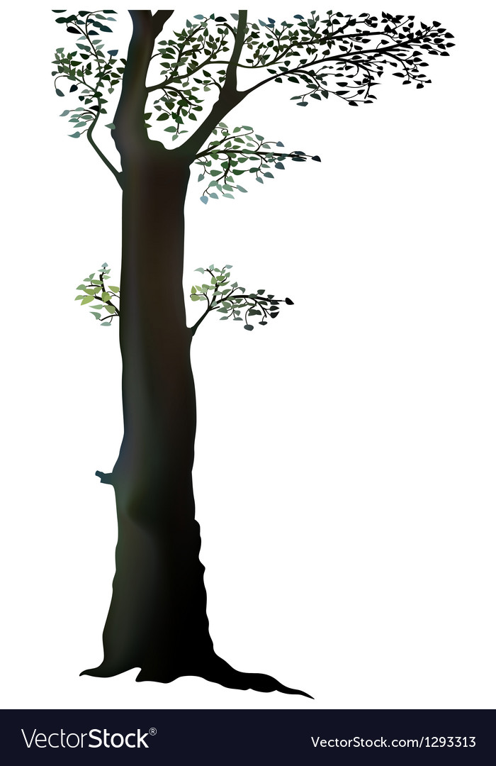 Tree Royalty Free Vector Image - VectorStock