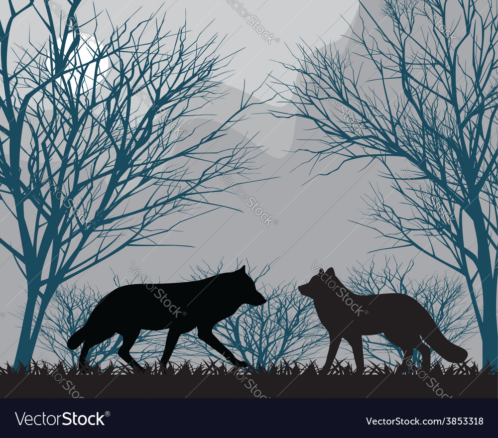 Forest wolves Royalty Free Vector Image - VectorStock