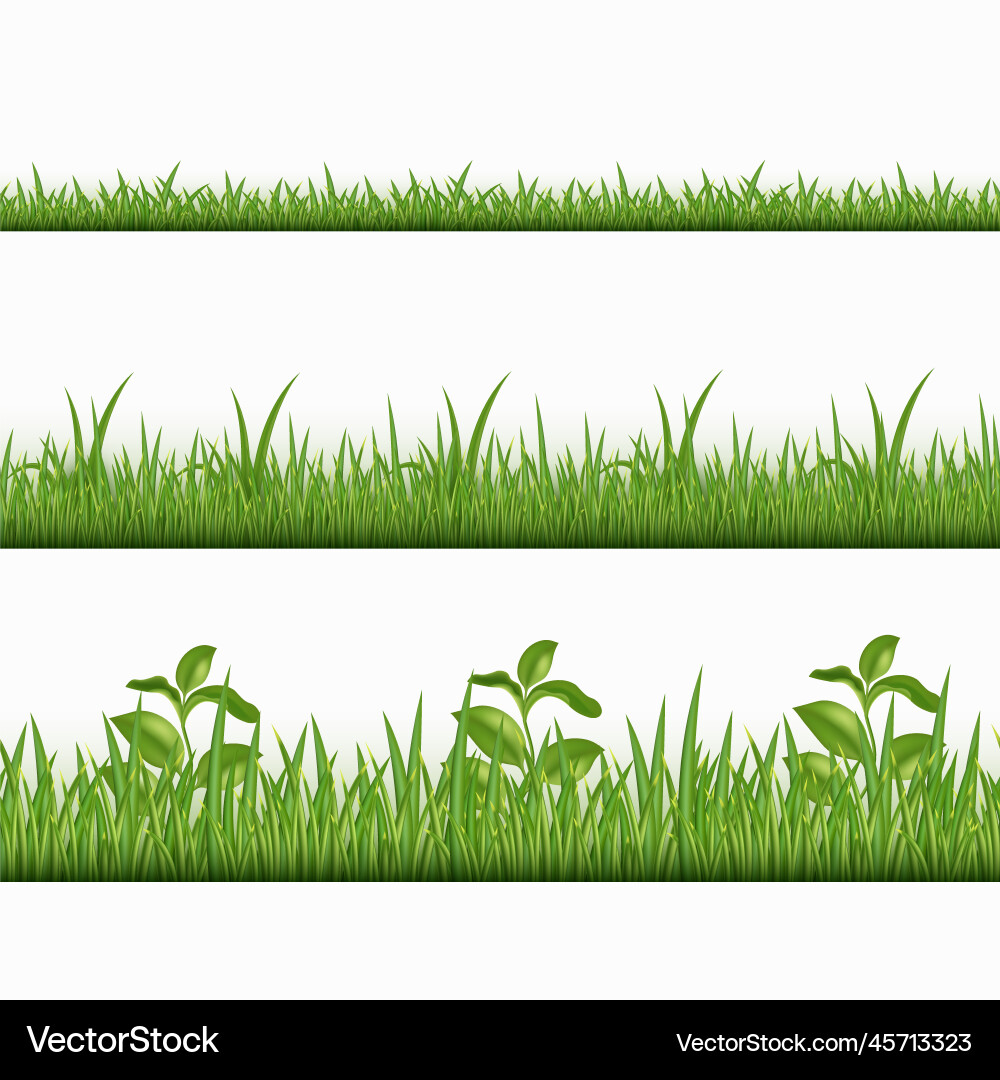 Grass field border green lawn realistic spring Vector Image