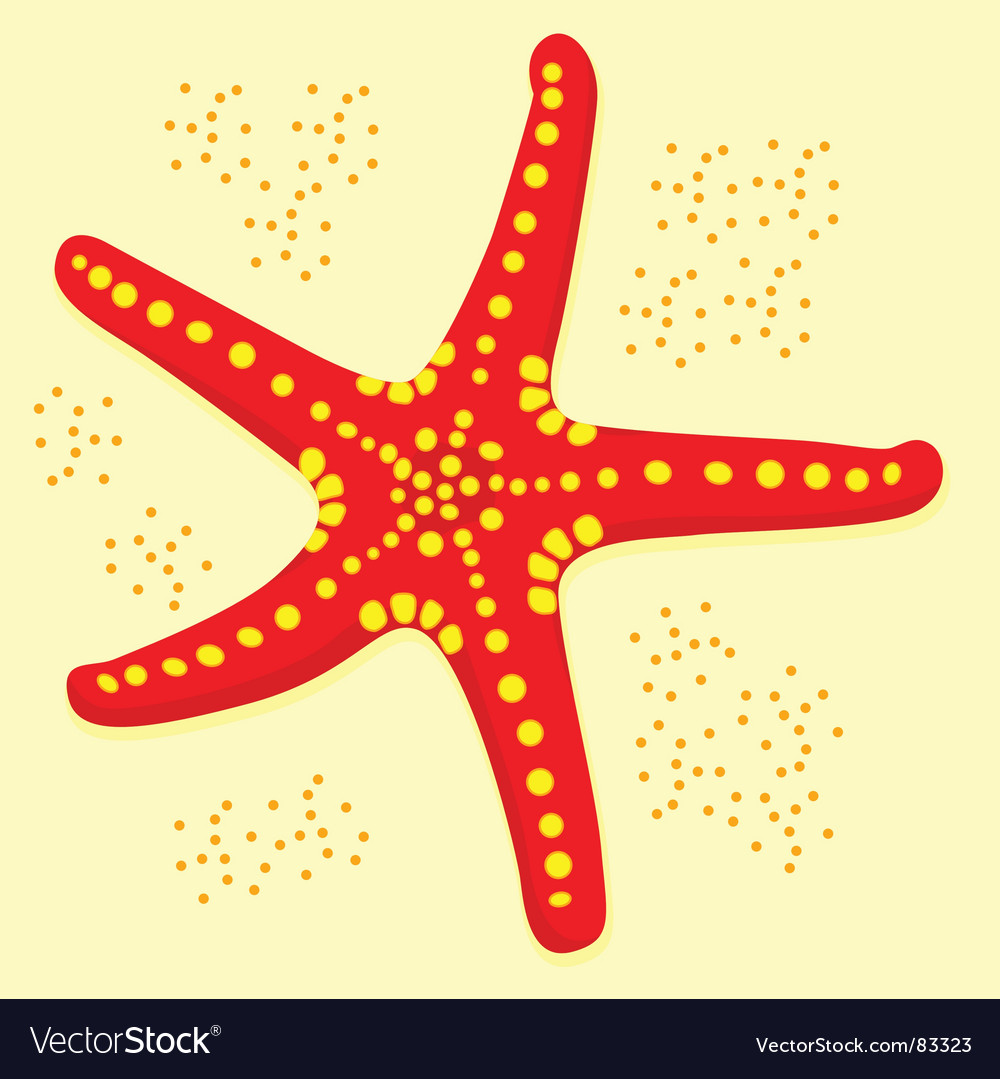 Star fish Royalty Free Vector Image - VectorStock