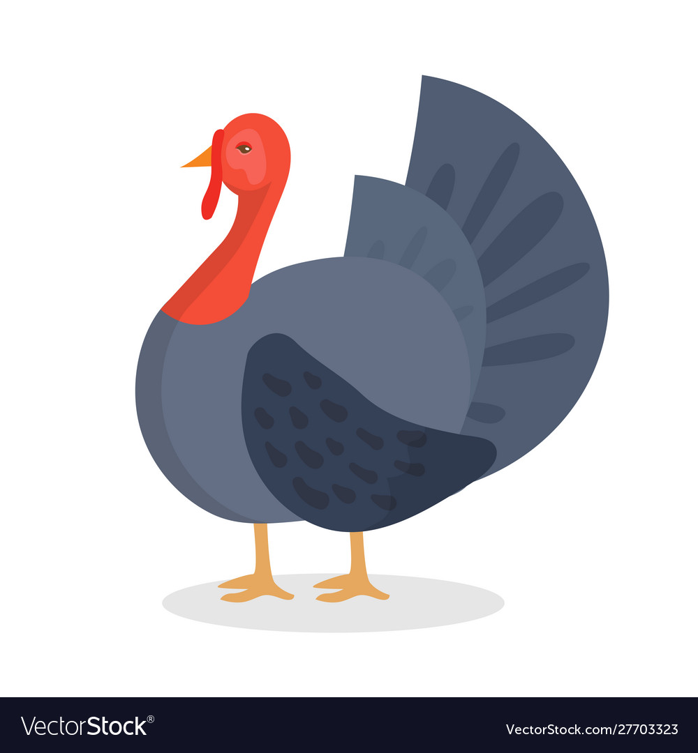 Turkey flat Royalty Free Vector Image - VectorStock
