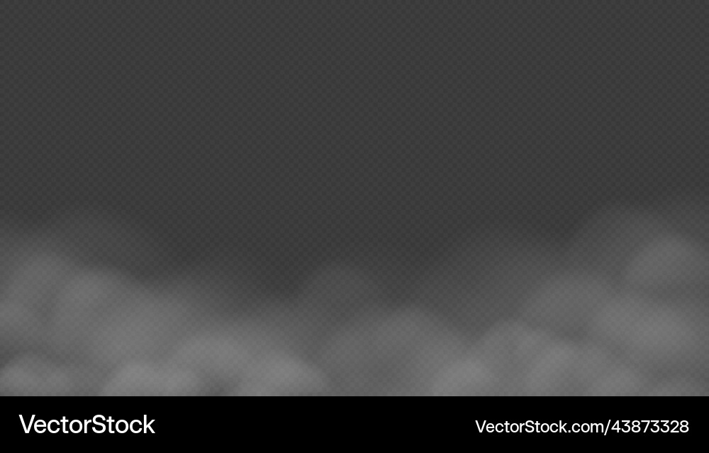 Fog or smoke isolated on transparent background Vector Image