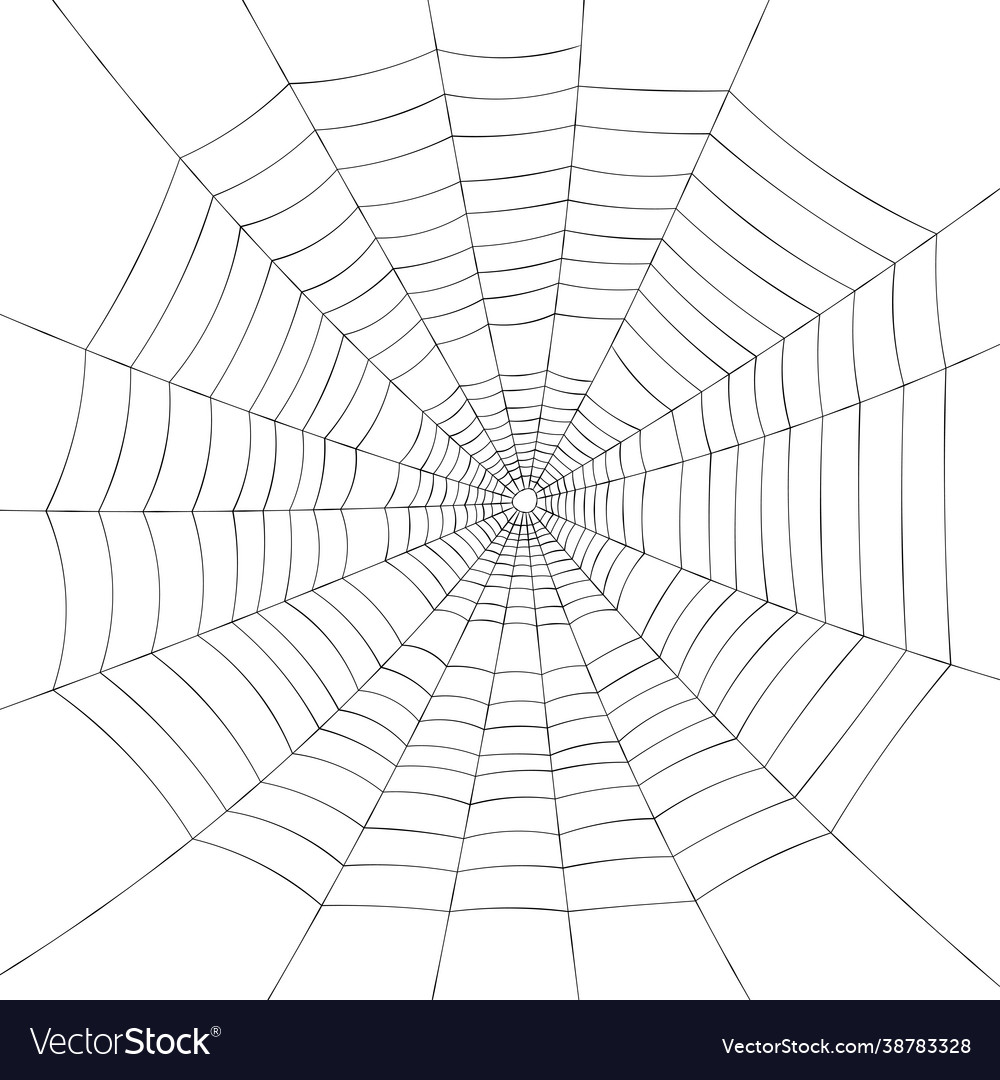 Full screen black spiderweb on white background Vector Image