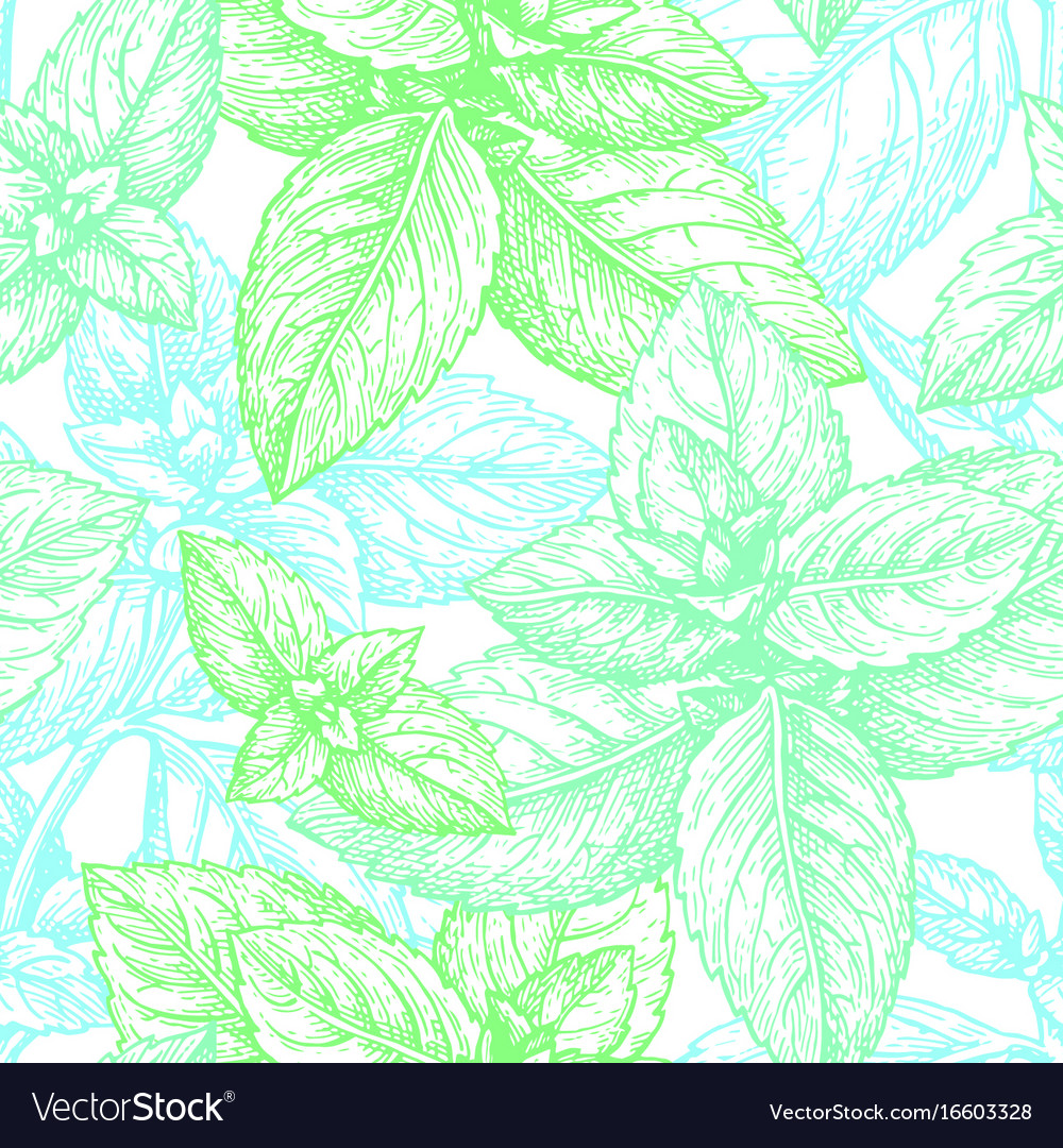 Mint seamless pattern Royalty Free Vector Image