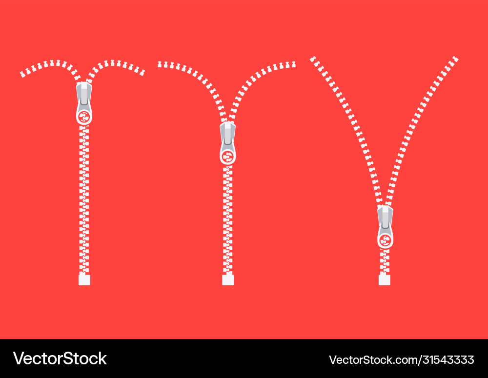 Open zipper teeth metal fastener isolated Vector Image
