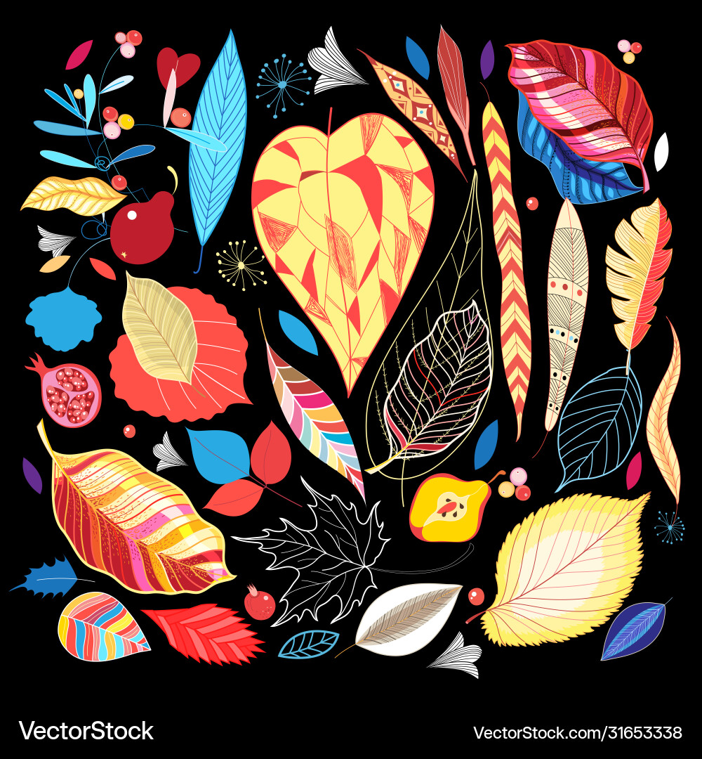 Autumn set colorful leaves Royalty Free Vector Image