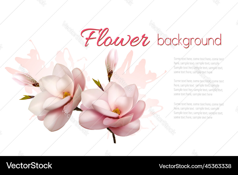 Flower background with beautiful magnolia Vector Image