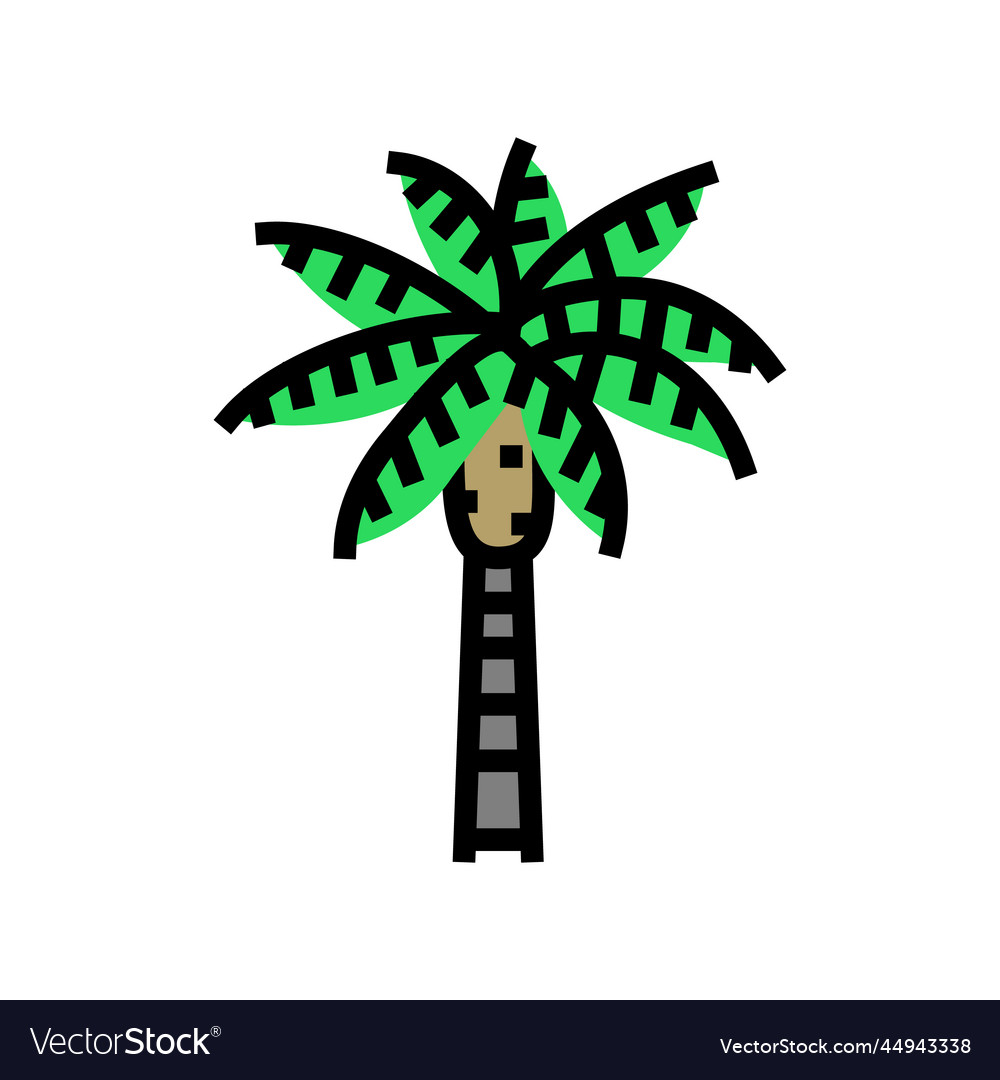 Queen palm tree color icon Royalty Free Vector Image Queen palm tree color icon Royalty Free Vector Image