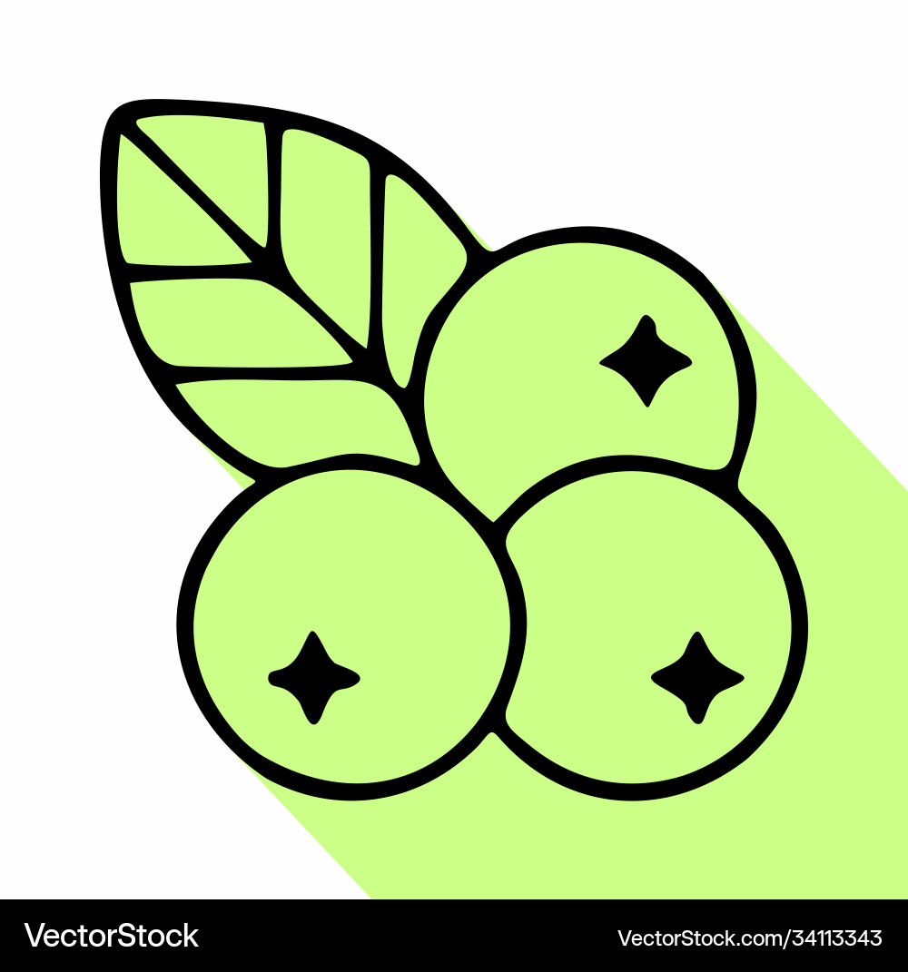 Blueberry flat line icon forest berry sign Vector Image