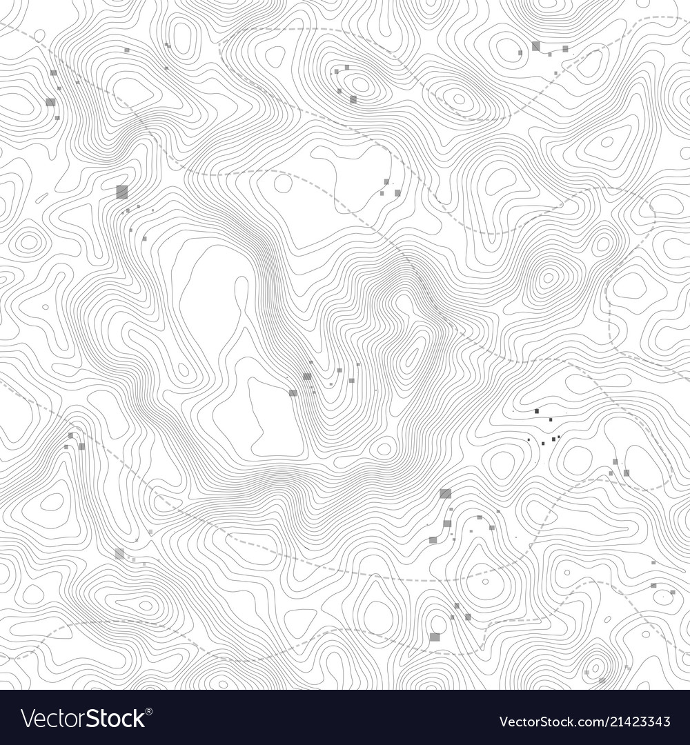 Seamless pattern topographic map background Vector Image