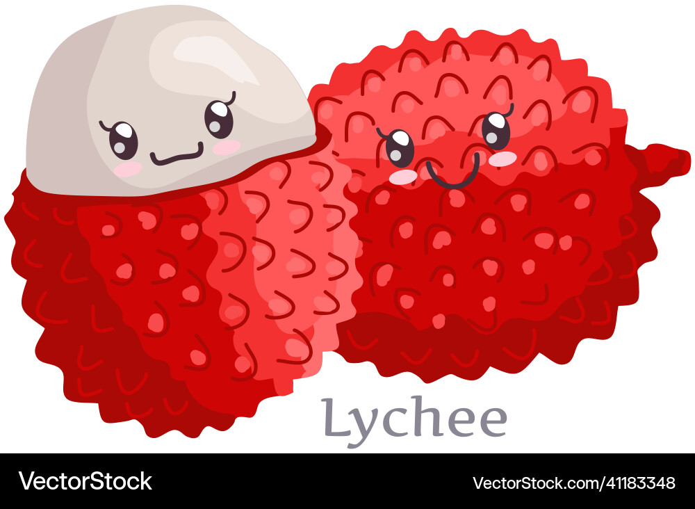 Cute lychee sticker kawaii character icon Vector Image
