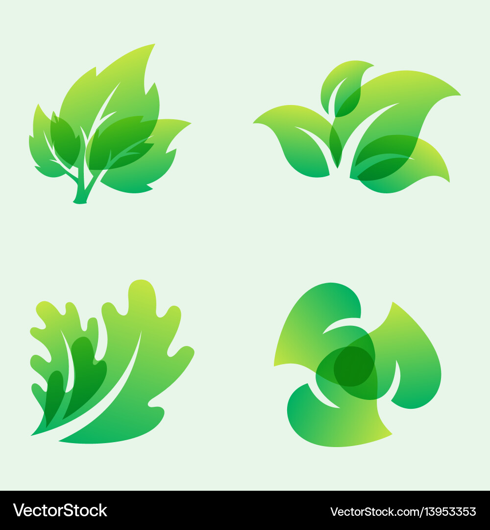 Green leaf eco design friendly nature elegance Vector Image