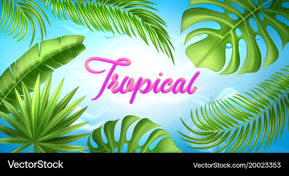 Realistic tropical leaves exotic vacation Vector Image