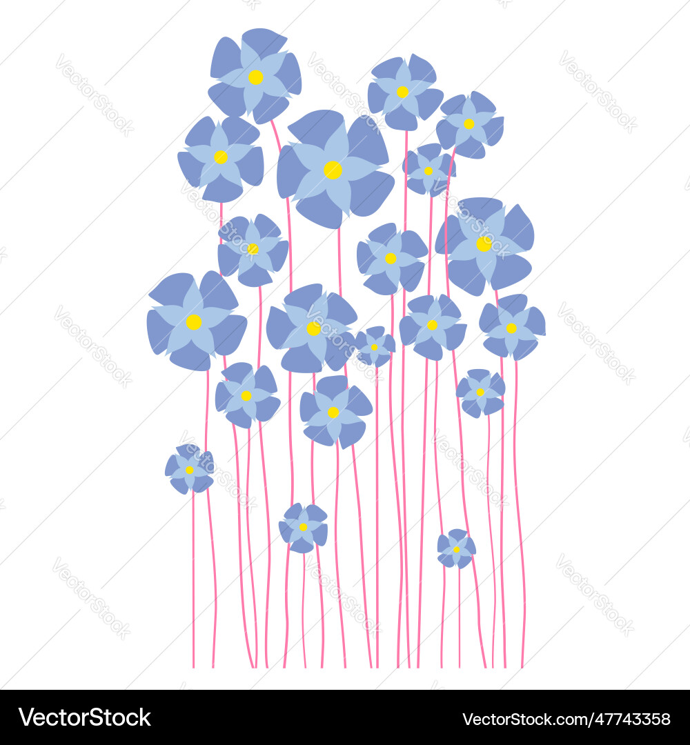 Spring flower early spring flowers isolated on Vector Image