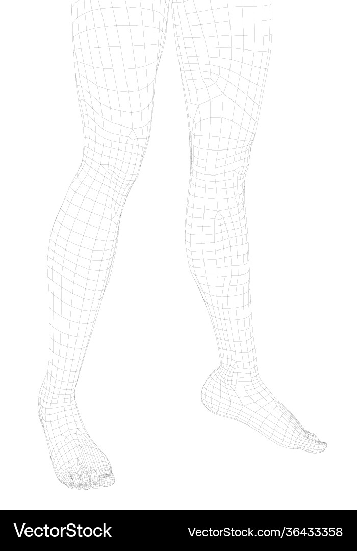 Wireframe girls legs isolated on white Royalty Free Vector