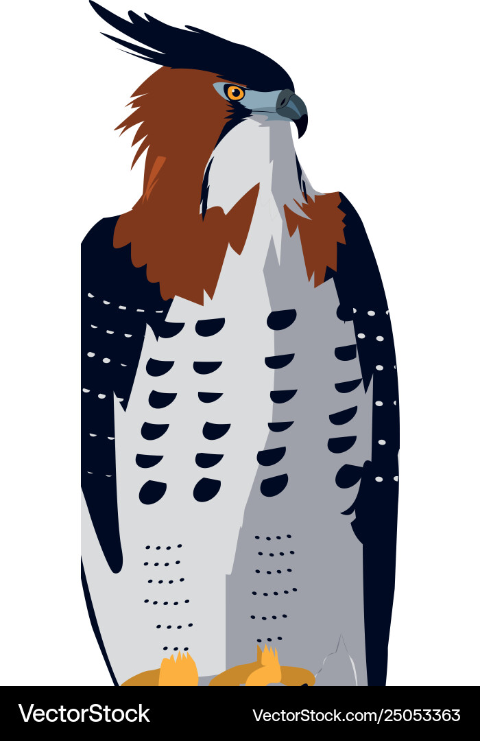 Beautiful hawk majestic bird Royalty Free Vector Image