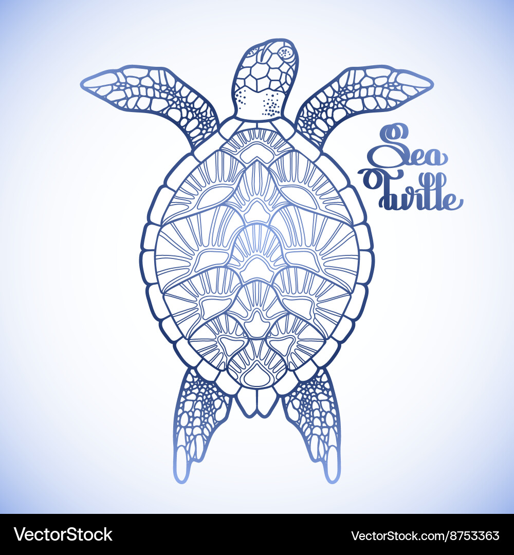 Hawksbill sea turtle Royalty Free Vector Image
