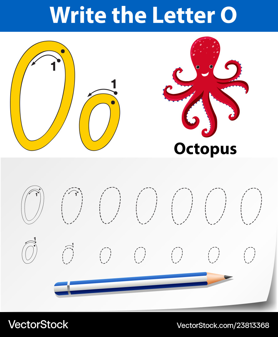 Letter o tracing alphabet worksheets Royalty Free Vector