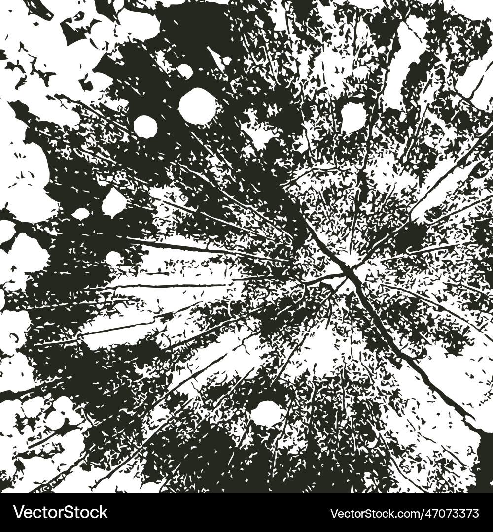 Abstract pattern square of wood saw cuts Vector Image