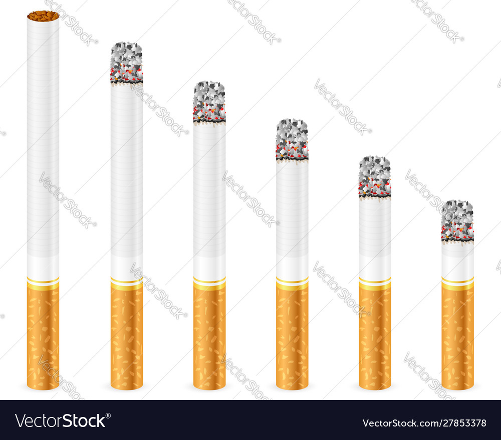 Cigarette Royalty Free Vector Image - VectorStock