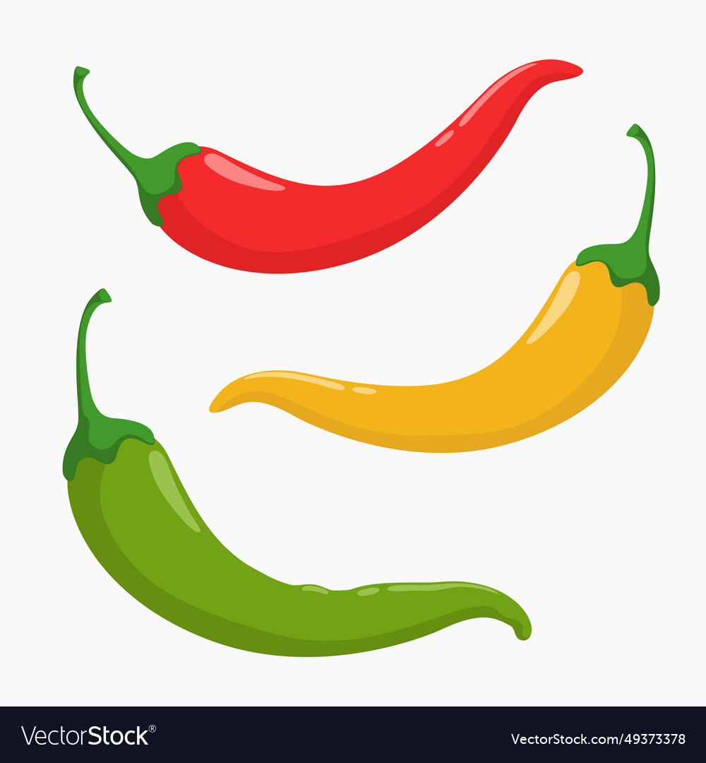 Pepper Royalty Free Vector Image - VectorStock
