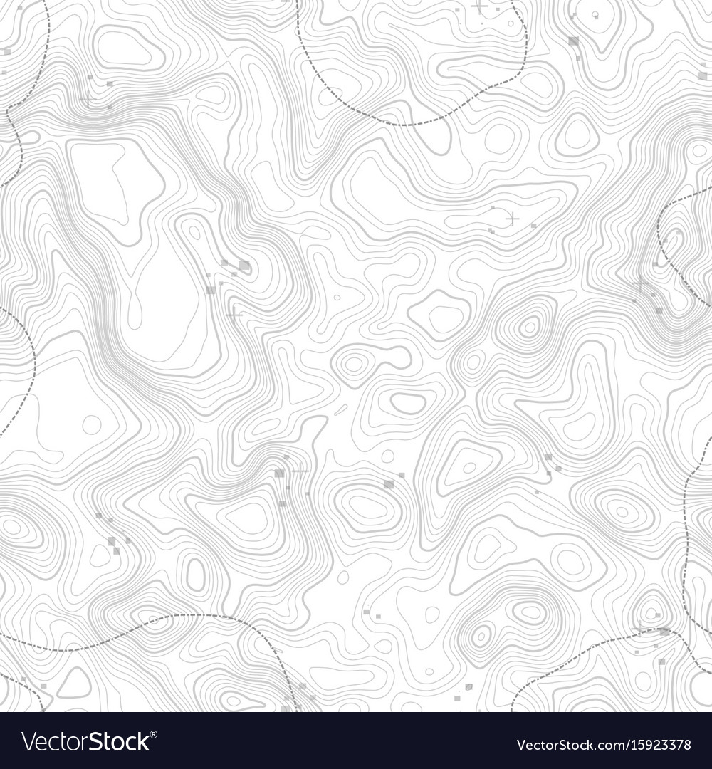 Seamless pattern topographic map background Vector Image