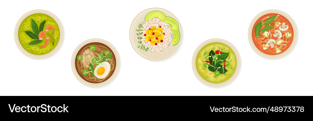 Thai dish and main course with rice shrimp Vector Image
