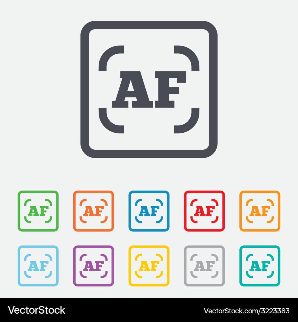 Autofocus photo camera sign icon af settings Vector Image