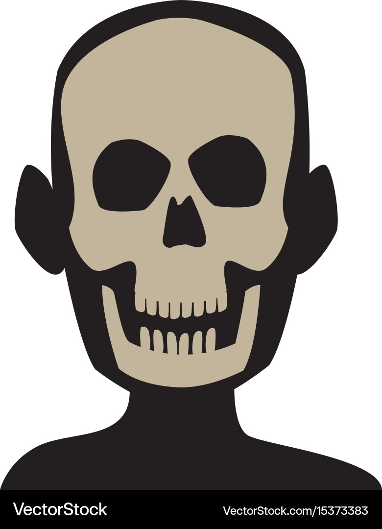 Xray of head bone structure human medical Vector Image