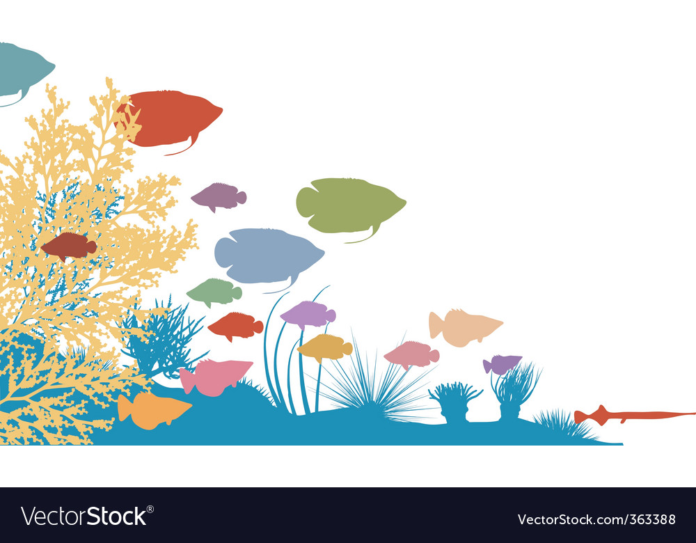 Reef Royalty Free Vector Image - VectorStock
