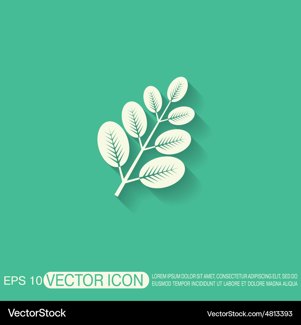 Branch with leaves symbol icon geometry teaching Vector Image