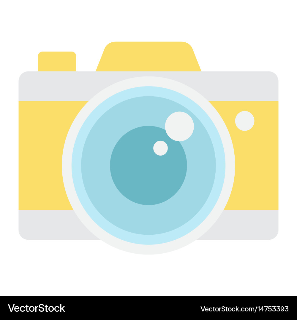 Camera flat icon travel and tourism Royalty Free Vector