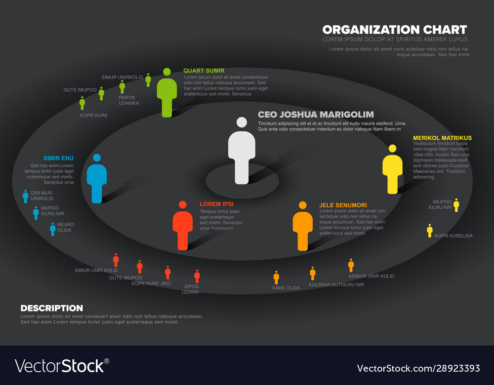 Minimalist company organization hierarchy schema Vector Image Minimalist company organization hierarchy schema Vector Image