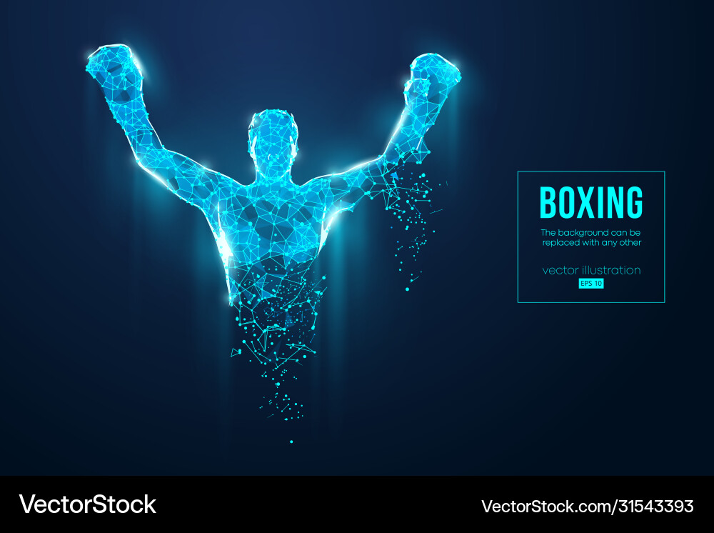 Silhouette a boxer fighter with boxing gloves Vector Image