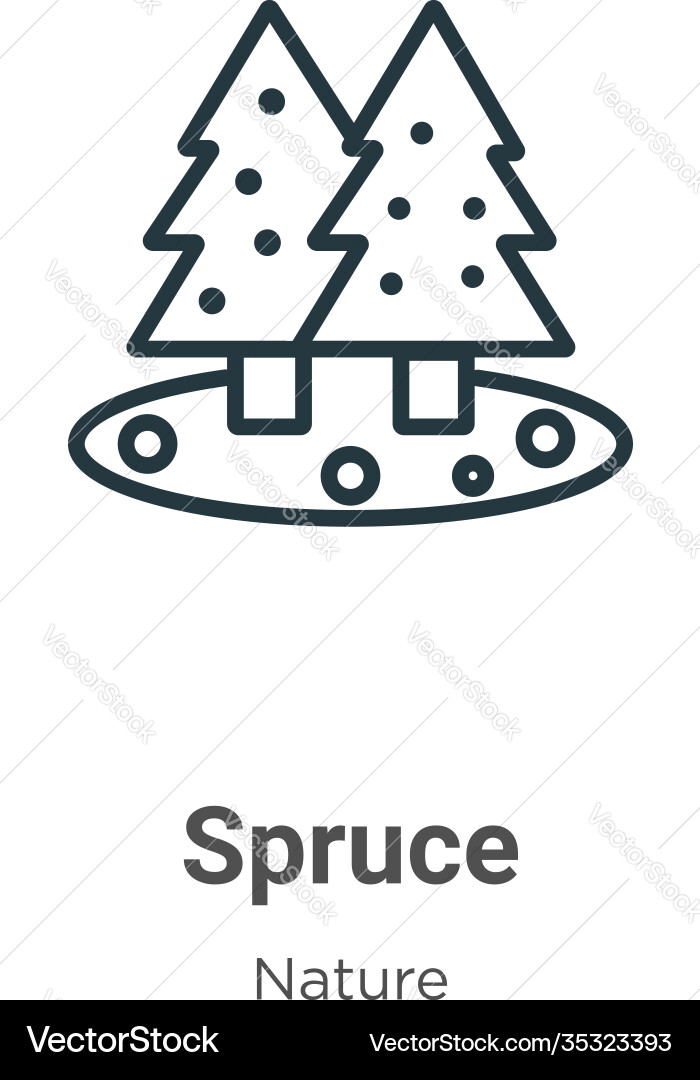 Spruce outline icon thin line black spruce icon Vector Image