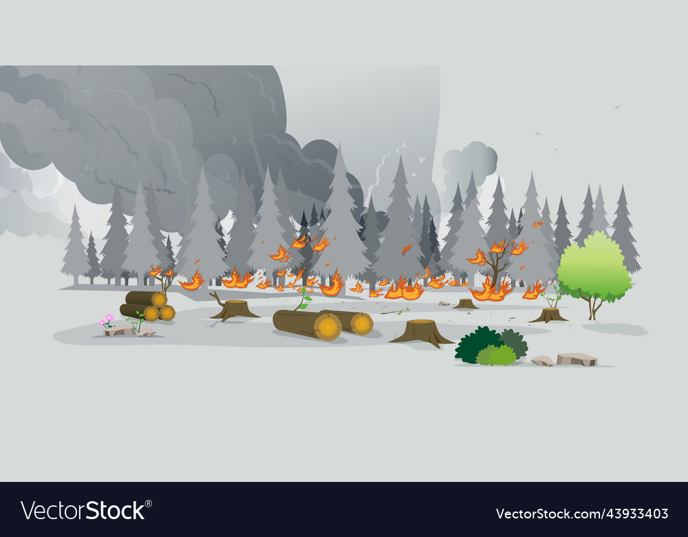 Forest fire Royalty Free Vector Image - VectorStock