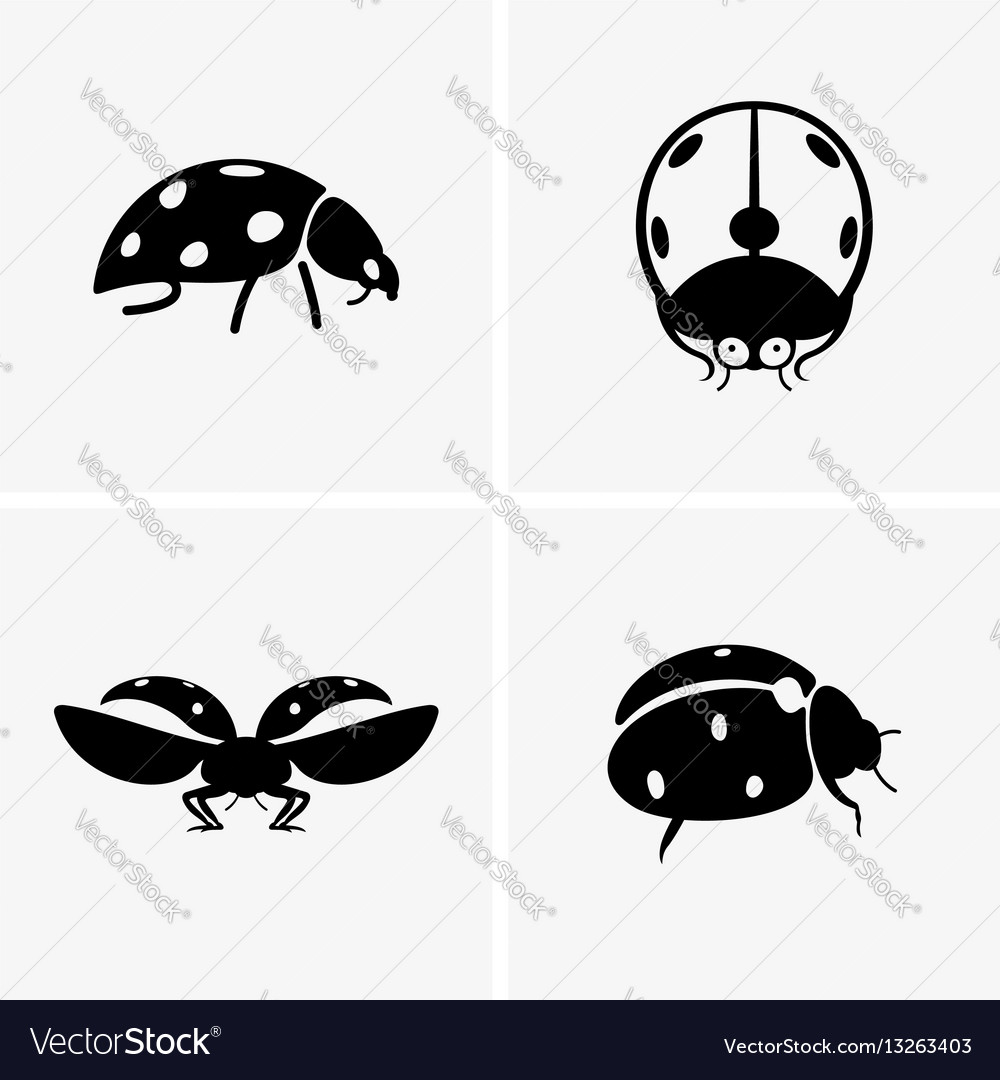 Ladybug Royalty Free Vector Image - VectorStock