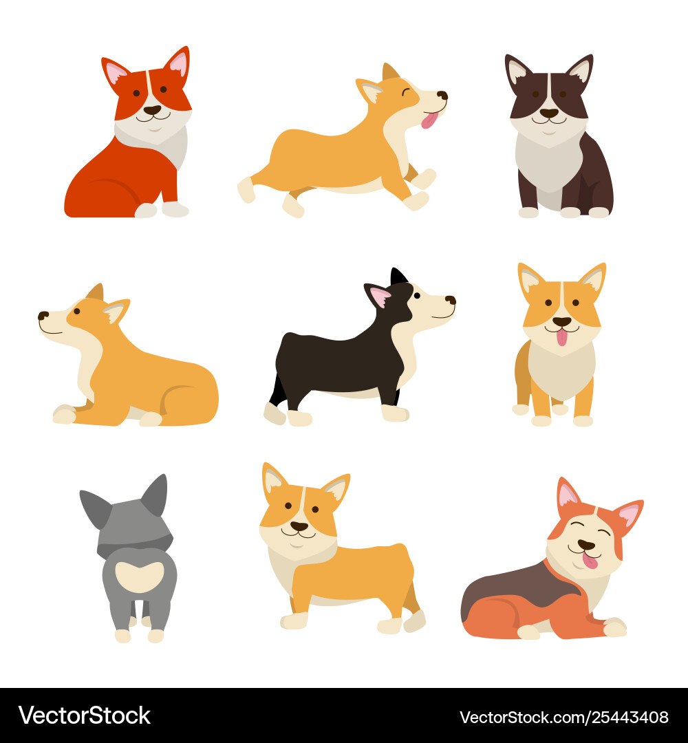 Cartoon color characters welsh corgi set Vector Image