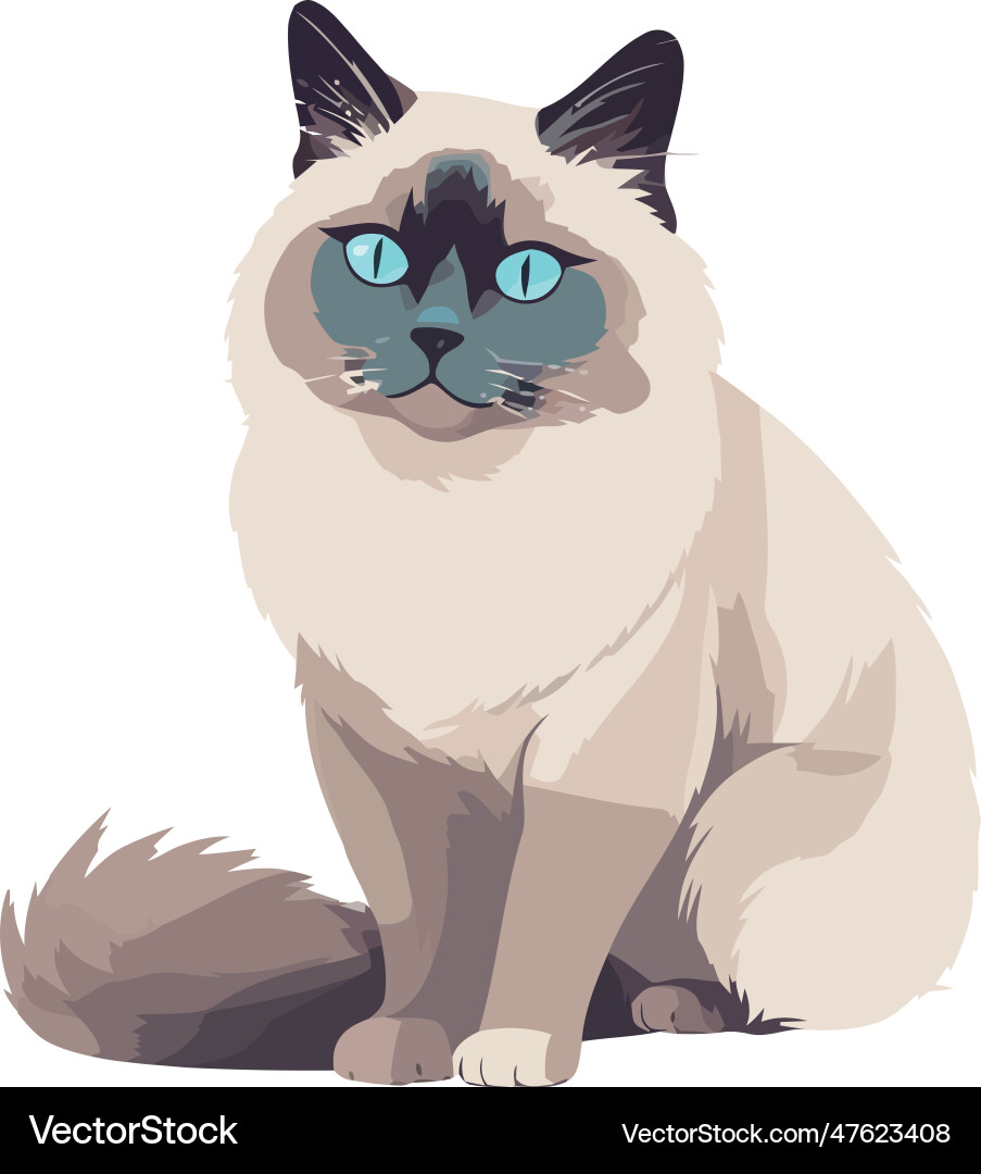 Cute fluffy kitten sitting Royalty Free Vector Image