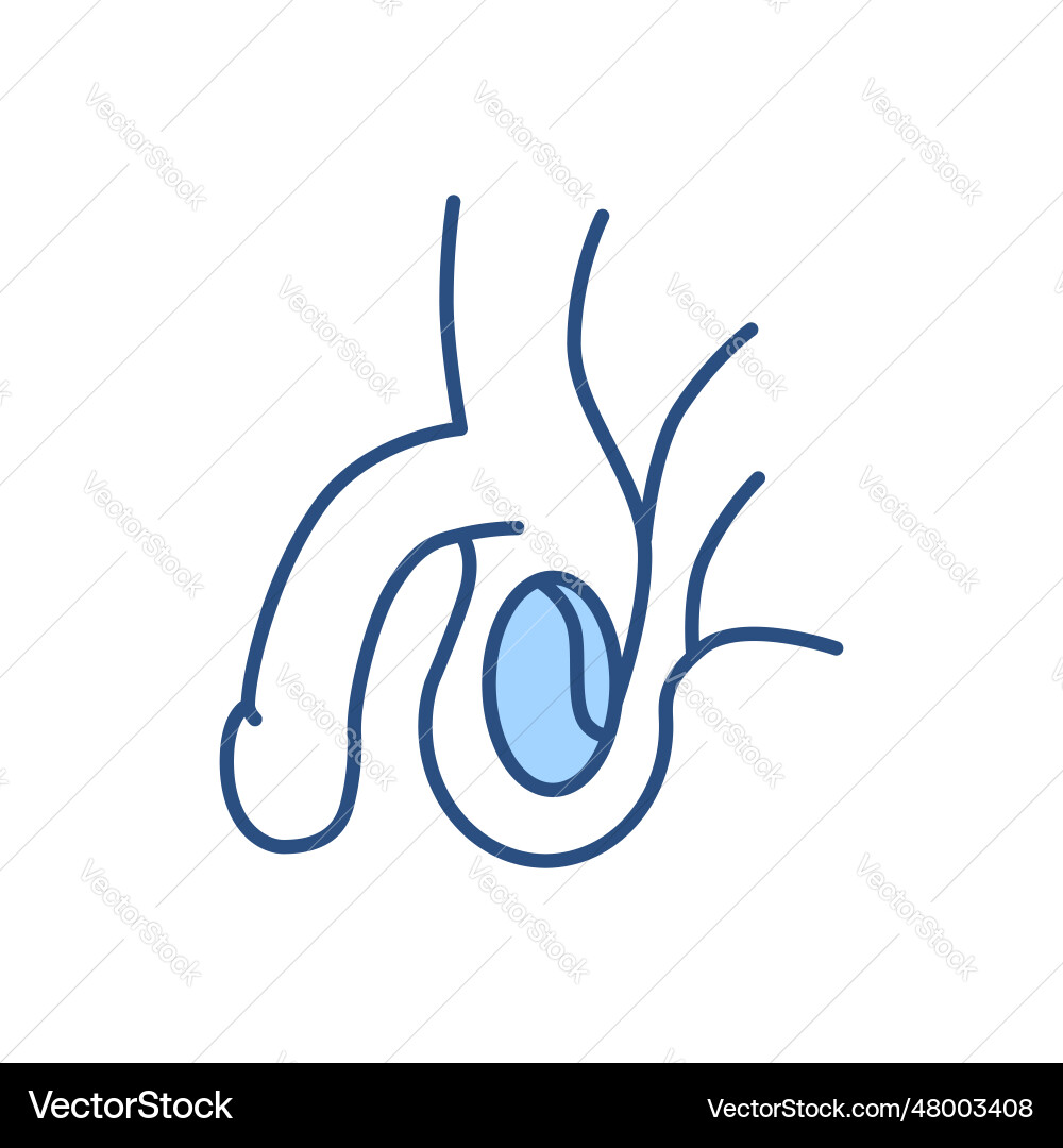 Male reproductive system line icons Royalty Free Vector