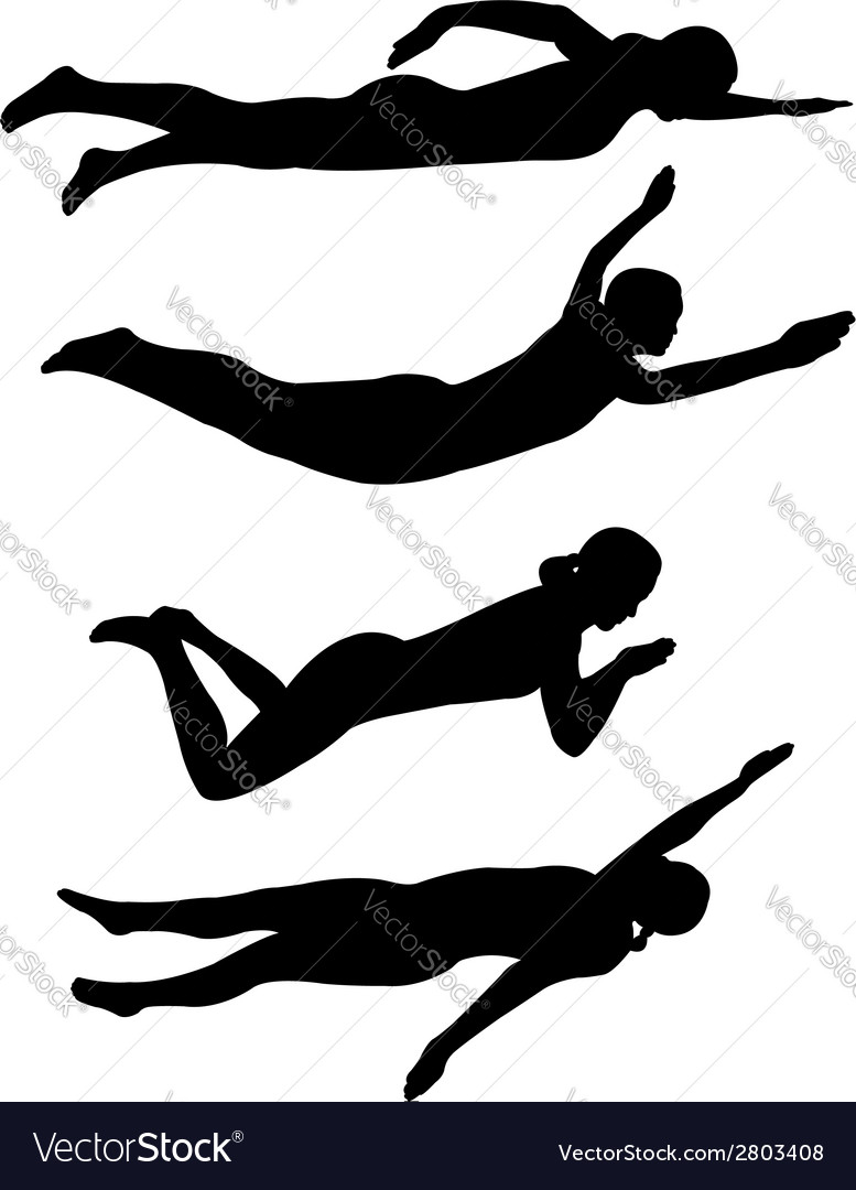 Swimming Royalty Free Vector Image - VectorStock