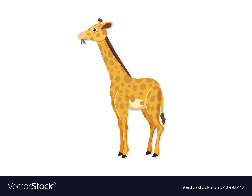Giraffe Royalty Free Vector Image - VectorStock