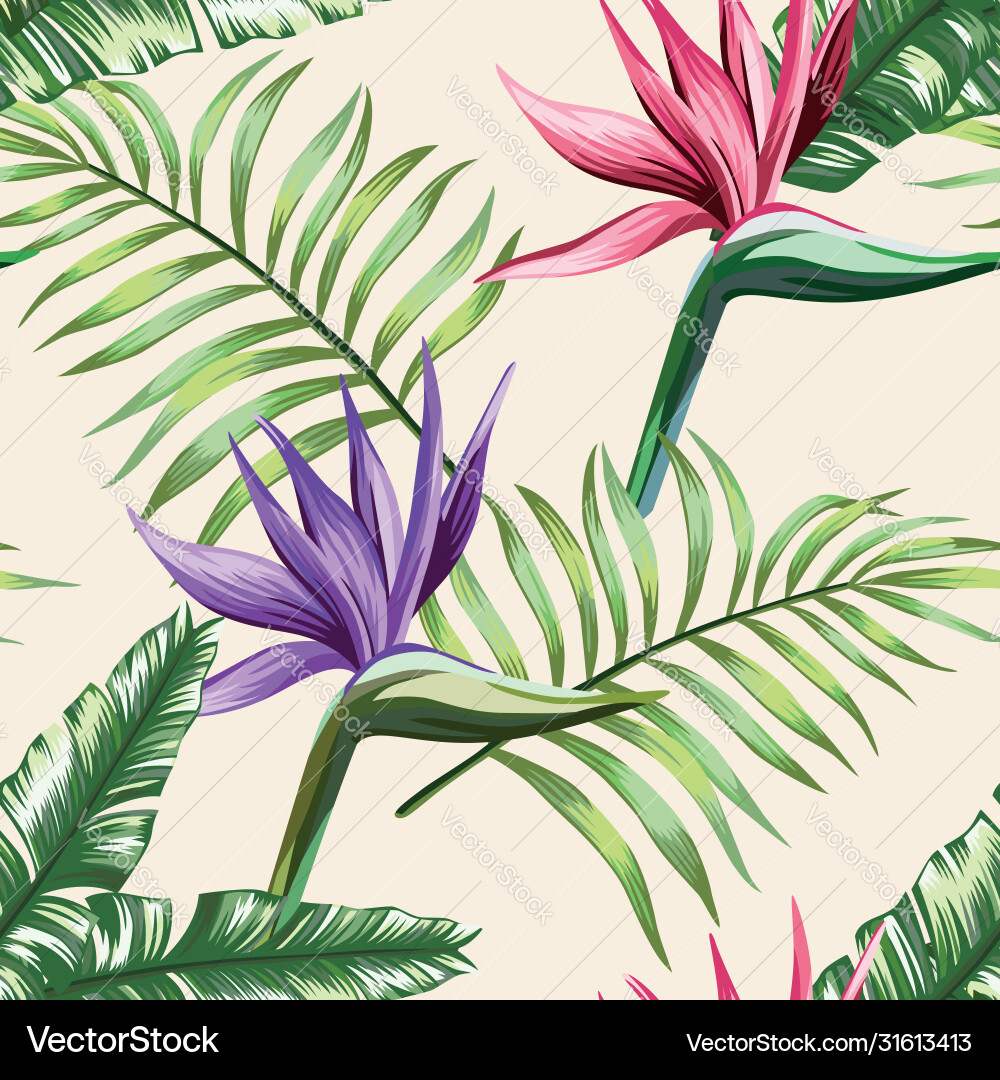 Multicolor tropical leaves flowers strelitzia Vector Image